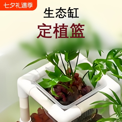 龟缸水培定植篮支架固定托架