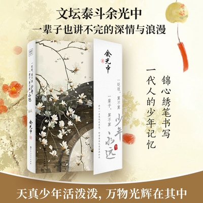 当当网正版书籍一眨眼算不算少年