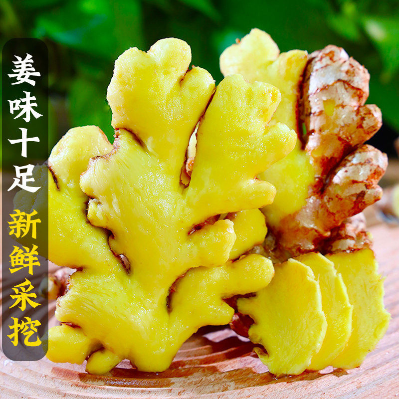 2026新正宗云南小黄姜新鲜生姜农家自种老姜高山南姜罗平干姜姜母