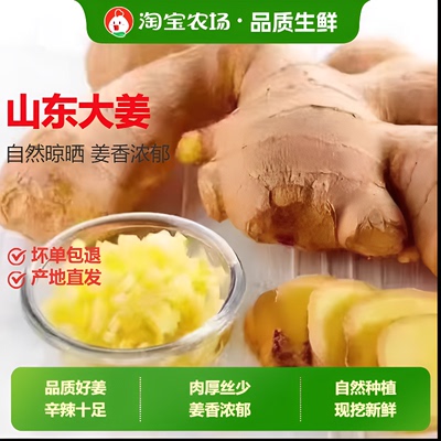 山东生姜大姜老姜现挖土新鲜蔬菜农家月子姜风干姜鲜姜食用自种