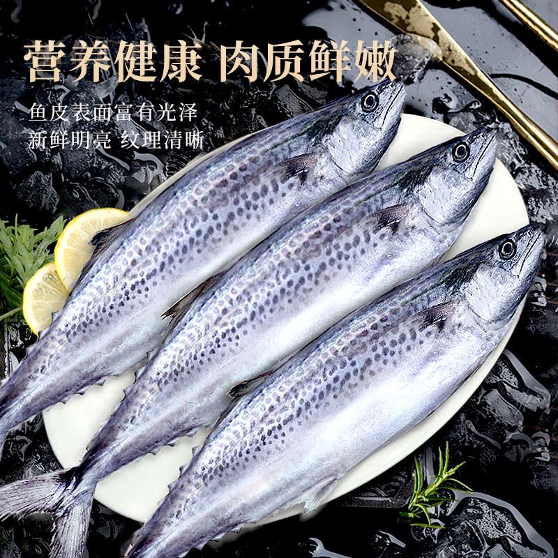 大鲅鱼新鲜鲅鱼冷冻马鲛鱼整条燕鲅鱼马友鱼海鲜批发深海鱼肉水产