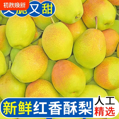 山西红香酥梨新鲜水果梨子当应季时令整箱皇脆甜雪梨翠冠特级大梨