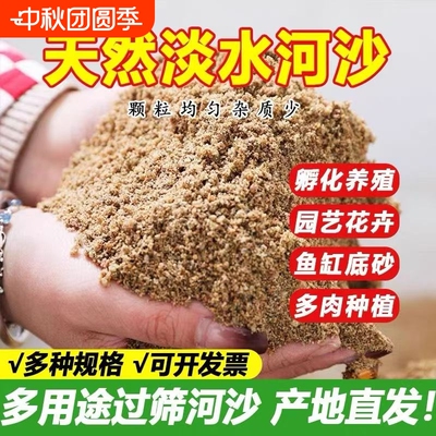 天然河沙粗沙细沙拌土垫底铺面