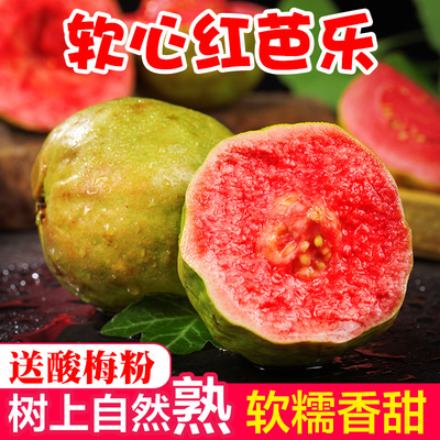 红心芭乐熟透番石榴新鲜水果包邮当季软糯奶油福建胭脂红心熟透