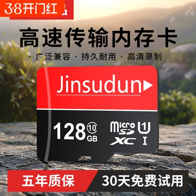 128G高速行车记录仪内存卡专用卡512G监控摄像头TF卡手机SD卡32g