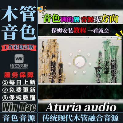 传统木管和现代电子乐器融合音源