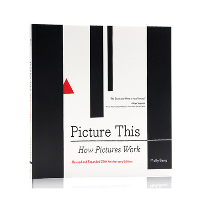 进口英文原版 视觉游戏  Picture This How Pictures Work 如何让你的设计讲故事 图片的工作原理 构图 莫莉邦 Molly Bang
