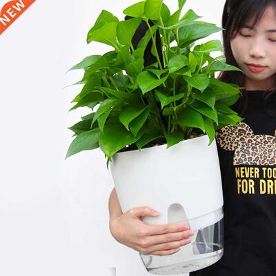 Home Office Decor Hydroponic Flowerpot Practical Plastic Pla