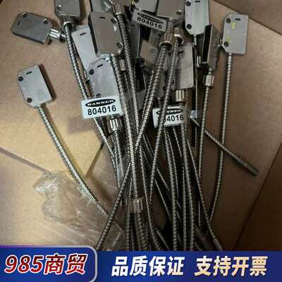 BANNER美国邦纳光纤PGiRs66U-15,804016议价