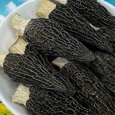 专属【六妹】羊肚菌6-8厘米26年头茬新货煲汤炖汤特产6A022868