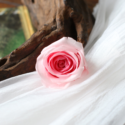 永生花进口日本大地农园玫瑰