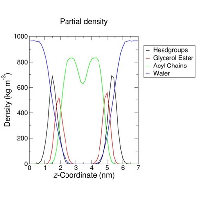 膜蛋白的分子动力学模拟蛋白模型构建分子对接基因家族