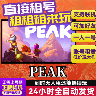 PEAK顶峰 网吧可用 多人联机 Steam正版游戏账号出租 租号 独享