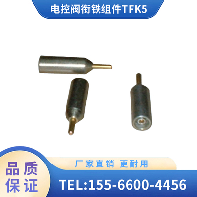 辽宁广源 铁路机车配件 电控阀衔铁组件TFK5 厂家直销 质量保证