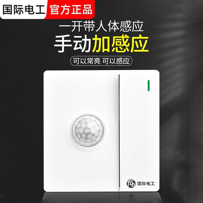 国际电工86型一开加人体感应