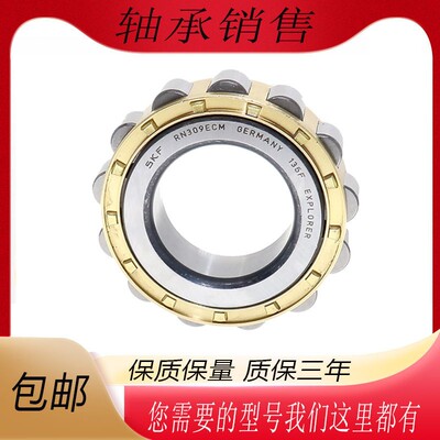 进口SKF圆柱滚子轴承N NU NJ202 203 204 205 206 207 208ECMZ1C3