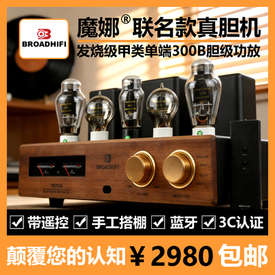 魔娜胆机甲类300B蓝牙遥控搭棚