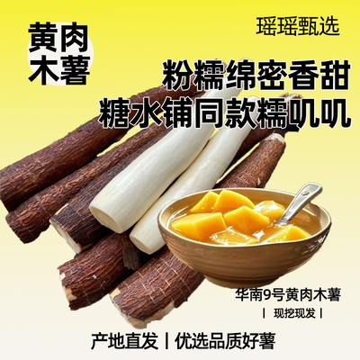 正宗黄心木薯糖水铺专用新鲜现挖