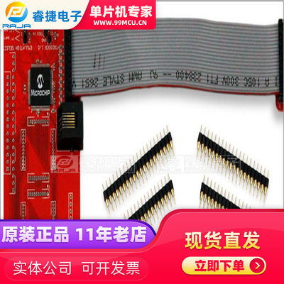 AC244066 EMULATION EXT PAK PIC16(L)F1619 编程器 仿真器 原装