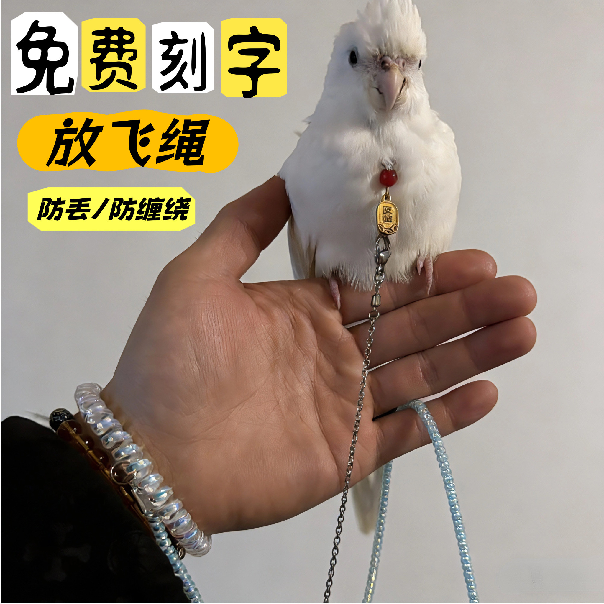 刻字鹦鹉鸟用脖圈超轻伸缩放飞绳和尚金太小太阳玄凤虎皮外出遛鸟