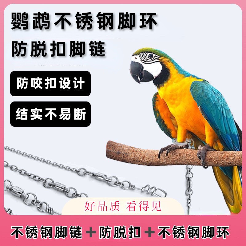 鹦鹉不锈钢专用脚链活扣牡丹玄凤小太金太折衷灰机脚环链子防咬
