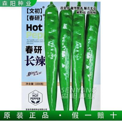 耐高温辣椒种湘研十五号华农709