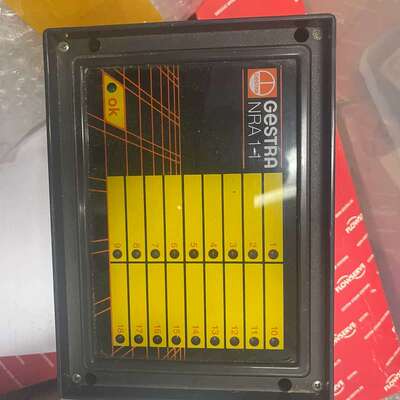 议价GESTRA NRA1-1 E 110/220V NRA1-