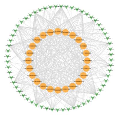 Cytoscape作图，网络图，PPI蛋白互作图，网络药理学