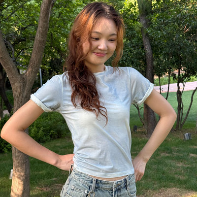 帕诺美利奴羊毛速干不扎休闲T恤