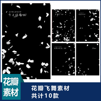 婚纱照素材写真素材花瓣飞舞婚纱模板26-26