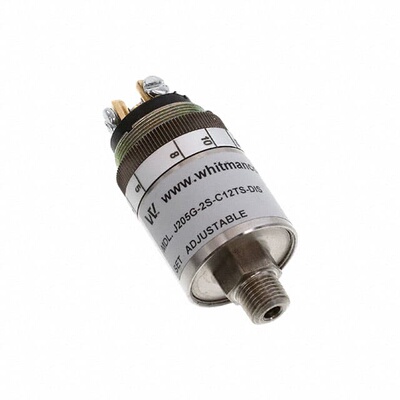 J205G-2S-C12TS-DIS  Whitman Controls, LLC