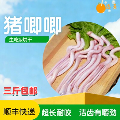 新鲜速冻猪鞭唧唧烘干食材洁齿有嚼劲宠物猫咪零食自制