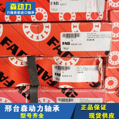 FAG 6319-C3 德国进口轴承318 317 316 315 314 313 6300 M J20AB