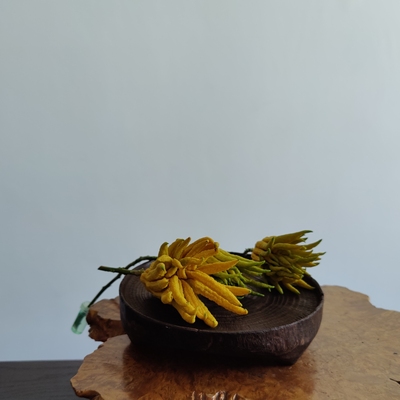 侘寂风放新鲜佛手柑瓜果的托盘果盘高脚高颜值纯实木桌面装饰茶室