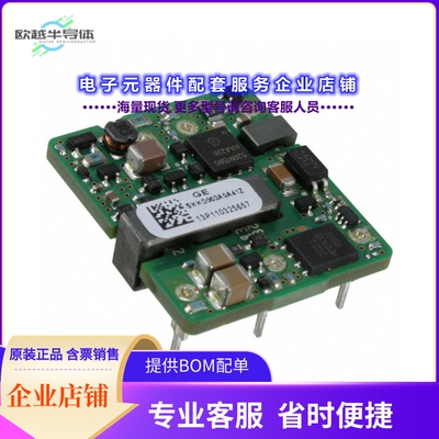 SHHD003A0A41Z[电源模块DC DC CONVERTER 5V 15W]