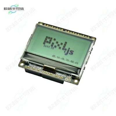 ESP005[开发板ESPRUINO PIXL.JS】