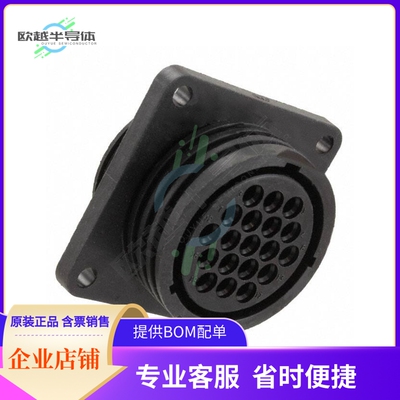 213868-1【CONN RCPT HSG FMALE 19POS PNL MT】