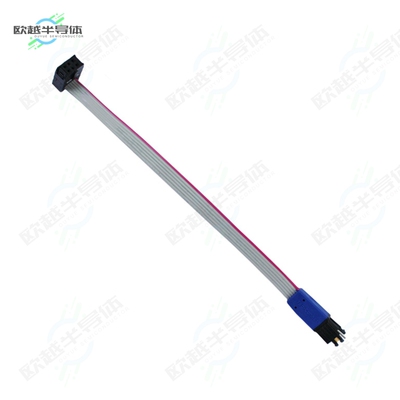 TC2030-IDC[开发板PLUG-OF-NAILS 6-PIN W/ LEGS 8寸】