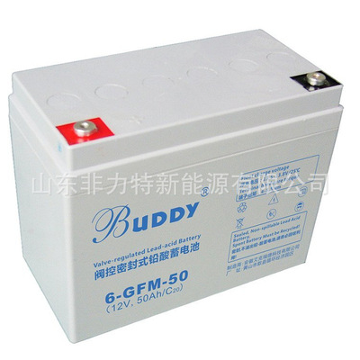BUDDY蓄电池6-FM-40宝迪