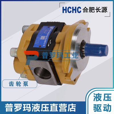 HCHC合肥长源齿轮油泵CBN-F520-BFP、525/563BFPL、550BFH、BFHL