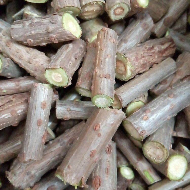 云南纯天然鲜接骨木枝活筋条关节扭伤手脚崴伤关节骨裂专用