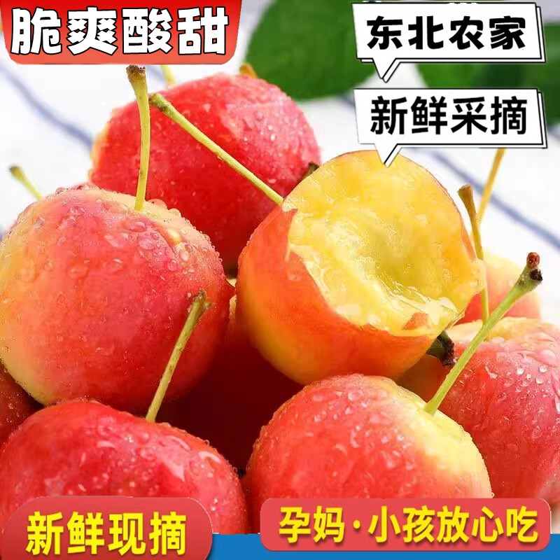 东北特产海棠果沙果酸甜孕妇当季应季新鲜水果现摘小苹果黄太平果