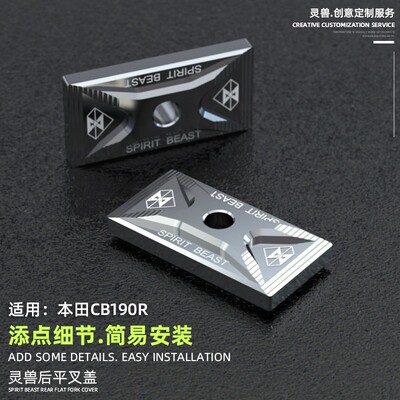 适用于豪爵TR300后平叉盖暴风眼摩托车改装配件GSX250R后托叉盖子