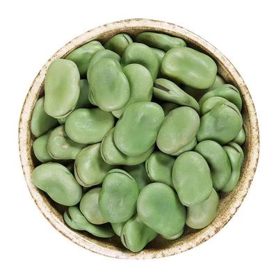 青皮绿心老品种无转基因蚕豆种籽四季播种庭院阳台盆栽种植蔬菜种