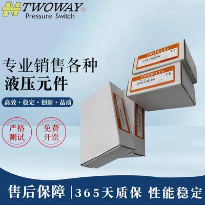 TWOWAY台肯DNM-2P250A-Pi 070 040 150 360K 3B 3Pi 压力继电器