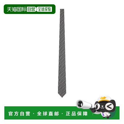 香港直邮CHRISTIAN DIOR 男士领带 11C1047A0442C【付后1h可退】