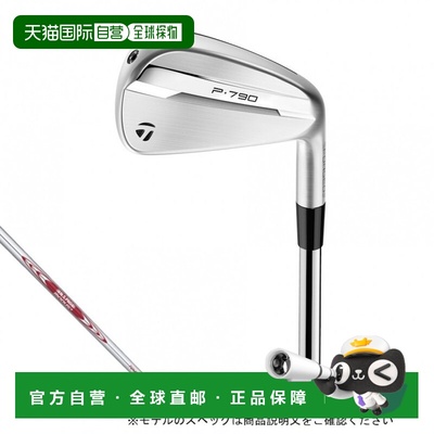 日本直邮TaylorMade P790高尔夫铁杆套装 N.S.PRO MODUS3 TOUR 10