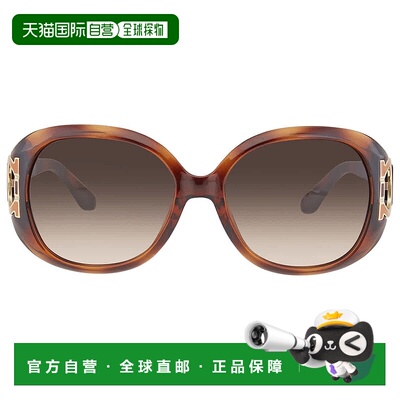 自营Salvatore Ferragamo Brown Gradient Oval Ladies Sunglasse