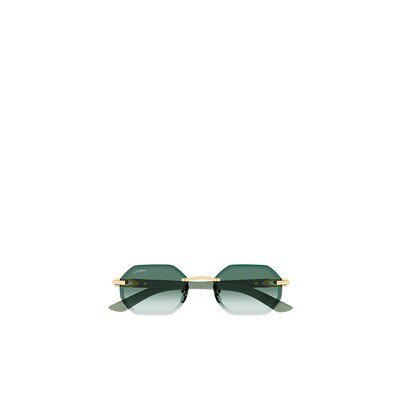 CARTIER 女士太阳镜 CT0439S004