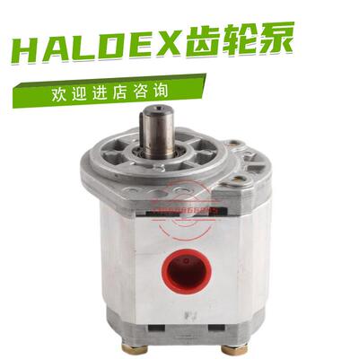 齿轮泵WP09A1B1802023 WP09A1B1802164 WM09A11821194油泵议价